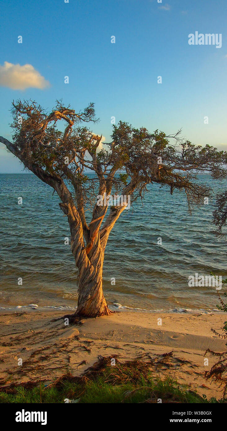 Sunset at Len Howard Conservation Park near Mandurah, Western Australia ...