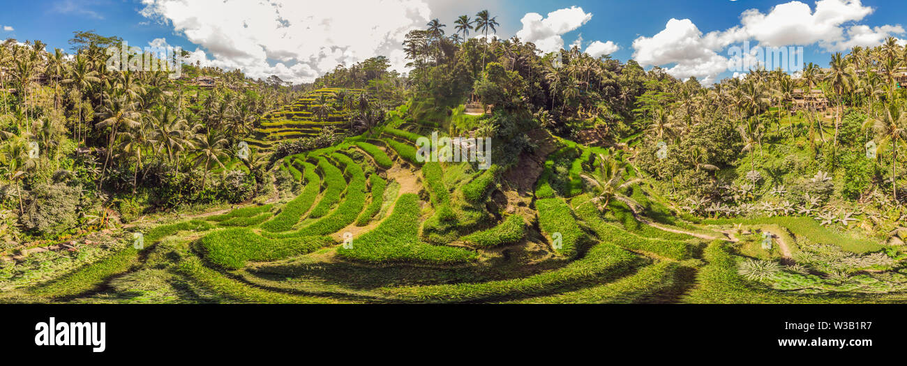 Beautiful shot terraced rice hi-res stock photography and images - Alamy