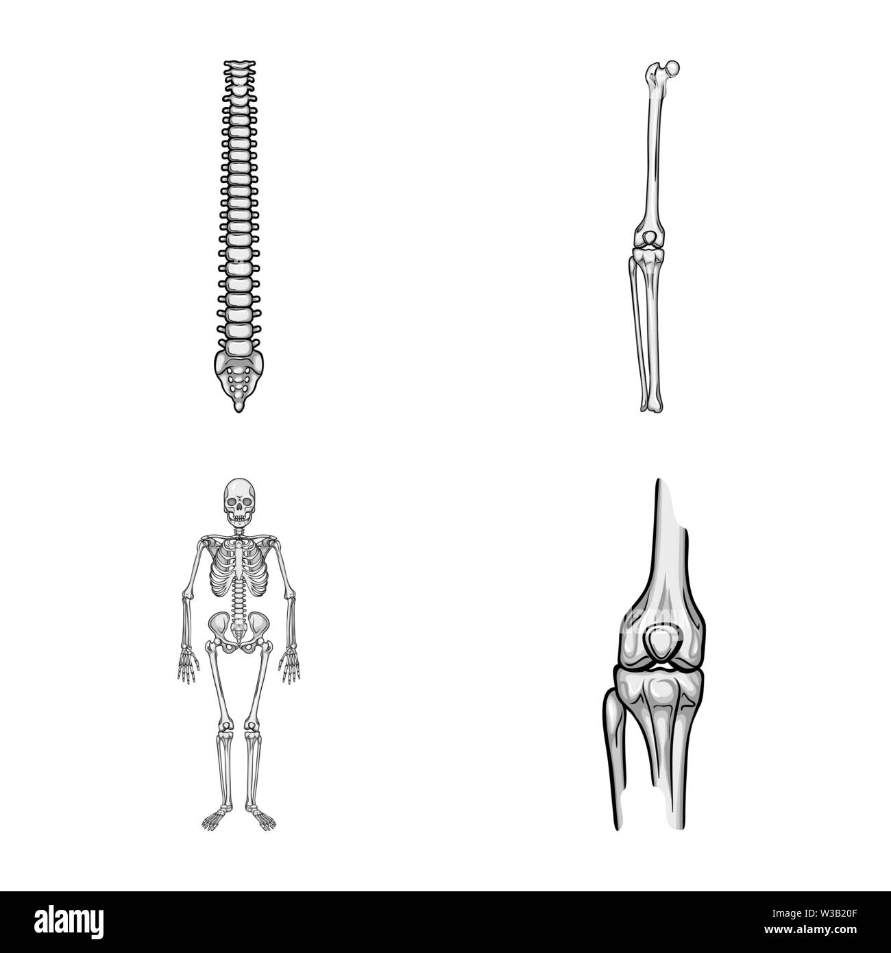 Vector Vectors Stock Vector Image & Art - Alamy