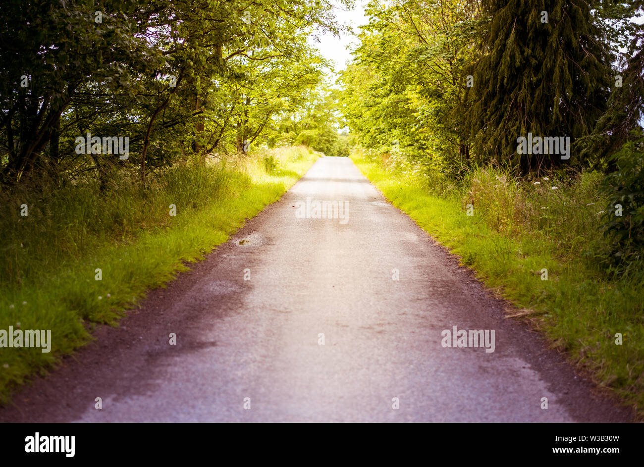 Driving along a countryside road in summer, central Scotland, Scenic ...