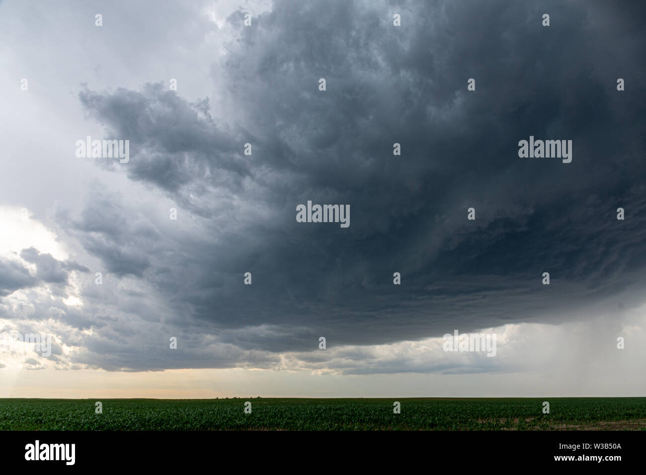 Cell rotating hi-res stock photography and images - Alamy