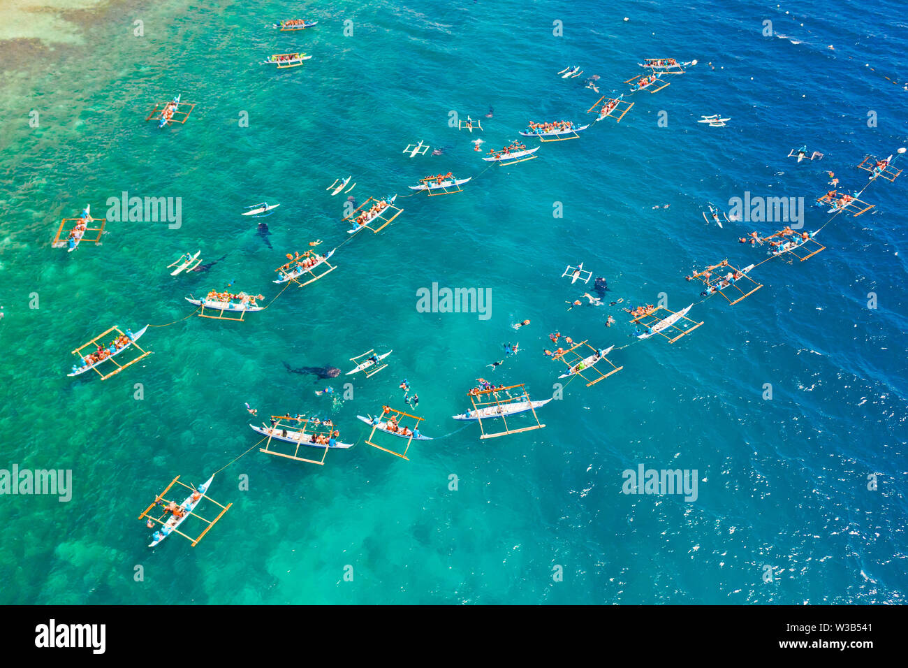 Tourists are watching whale sharks in the town of Oslob, Philippines ...