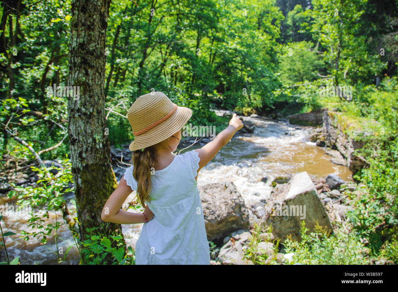 Borjomi nature reserve hi-res stock photography and images - Alamy