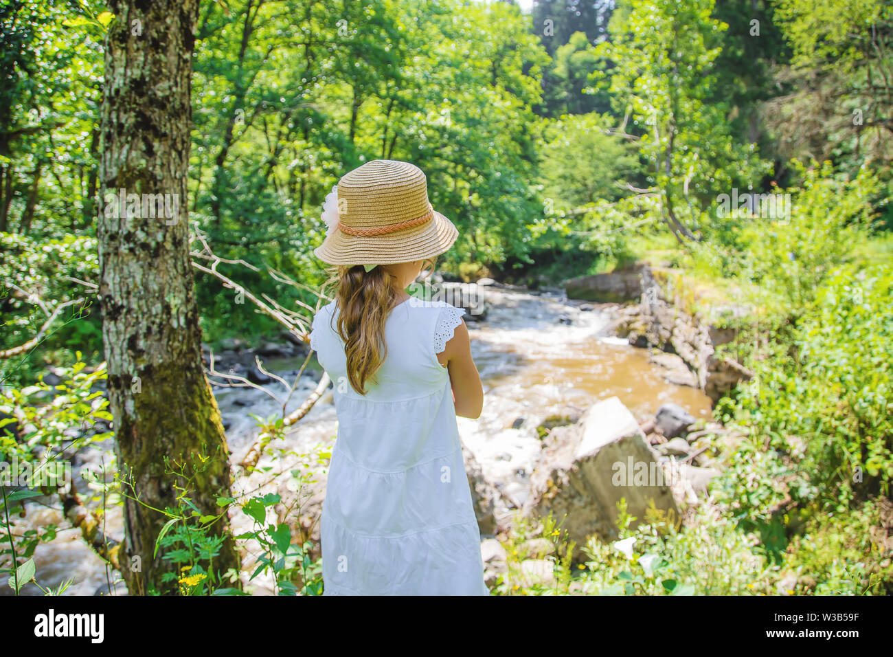 Borjomi nature reserve hi-res stock photography and images - Alamy