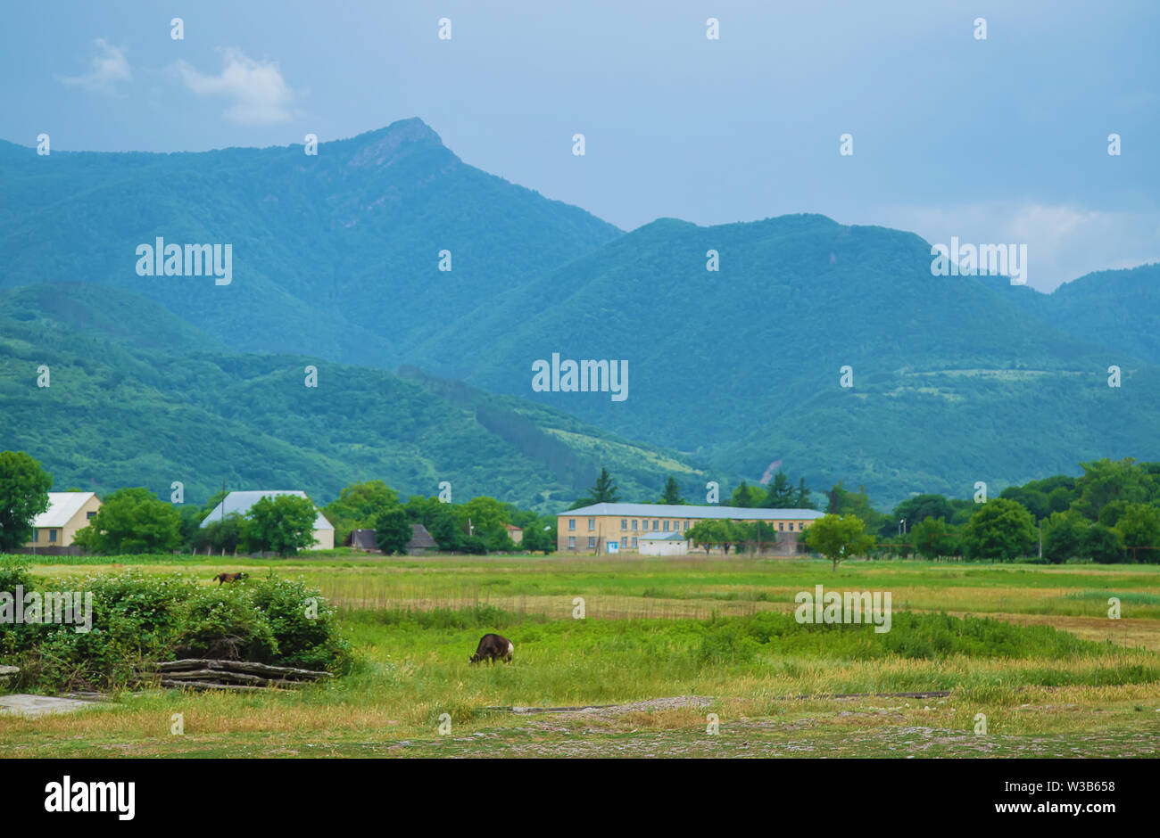 Borjomi nature reserve hi-res stock photography and images - Alamy