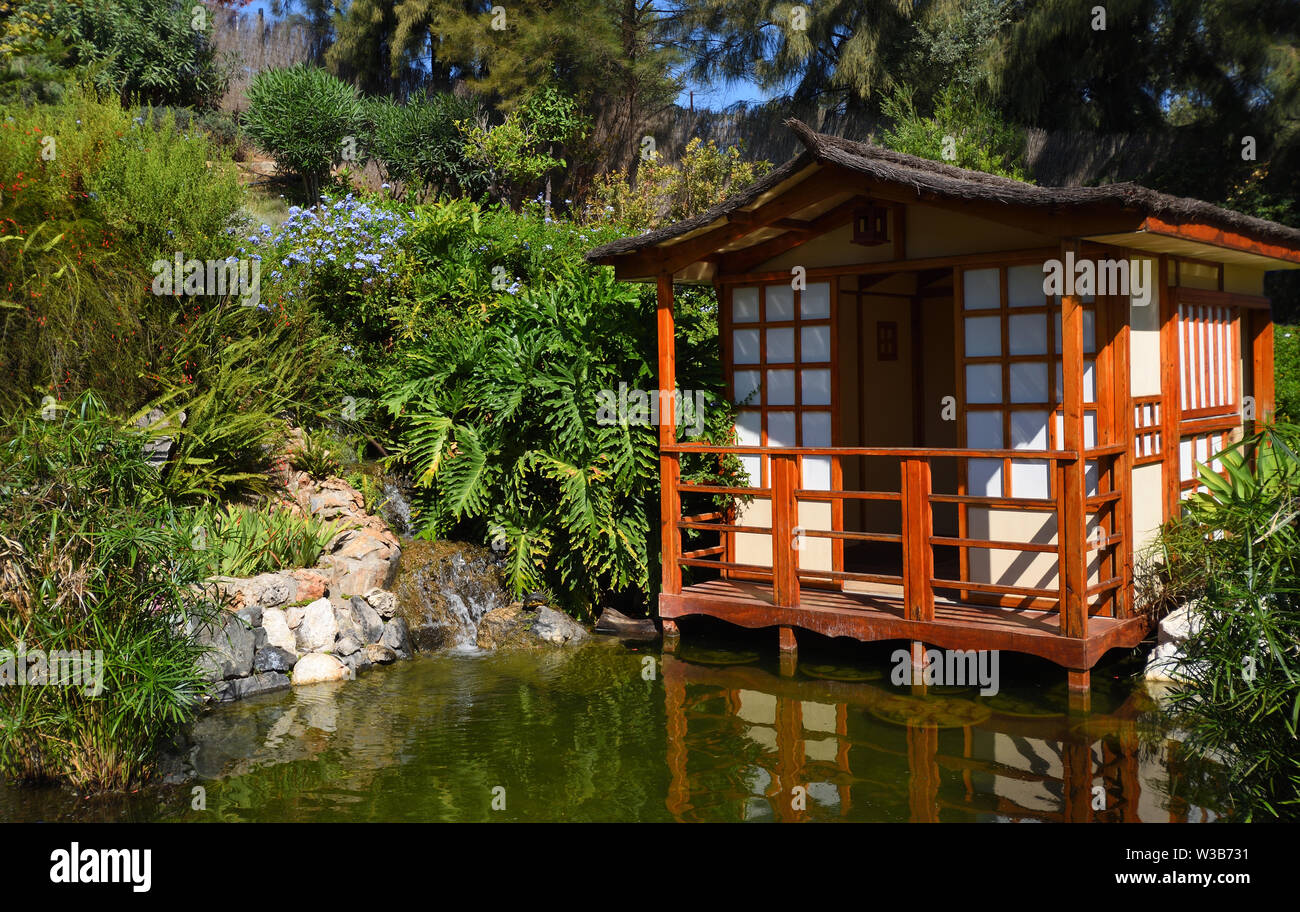 Japanese pagoda tree hi-res stock photography and images - Alamy