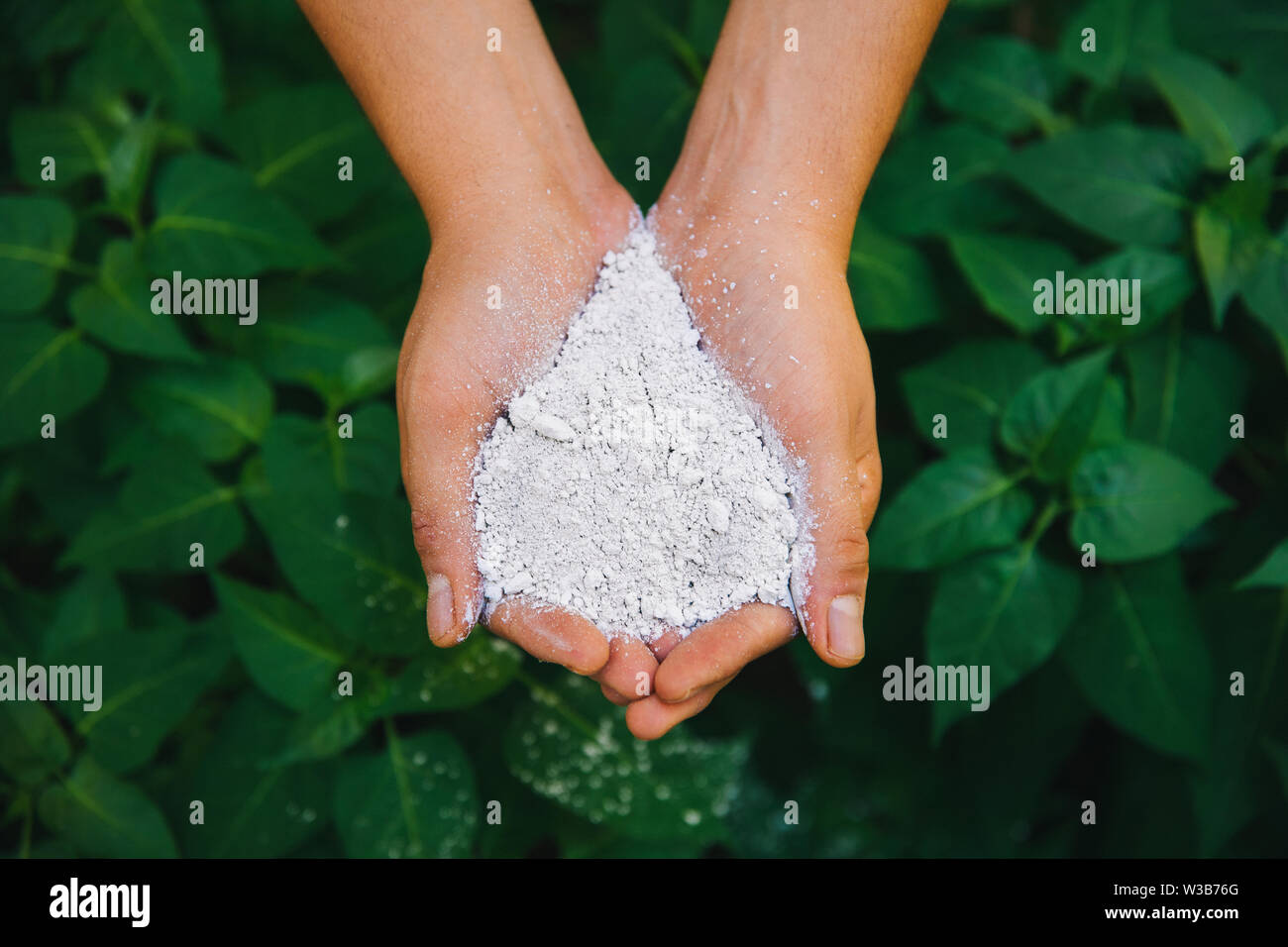 Farmer hands holding chemical organic nutrient agricultural plant ...