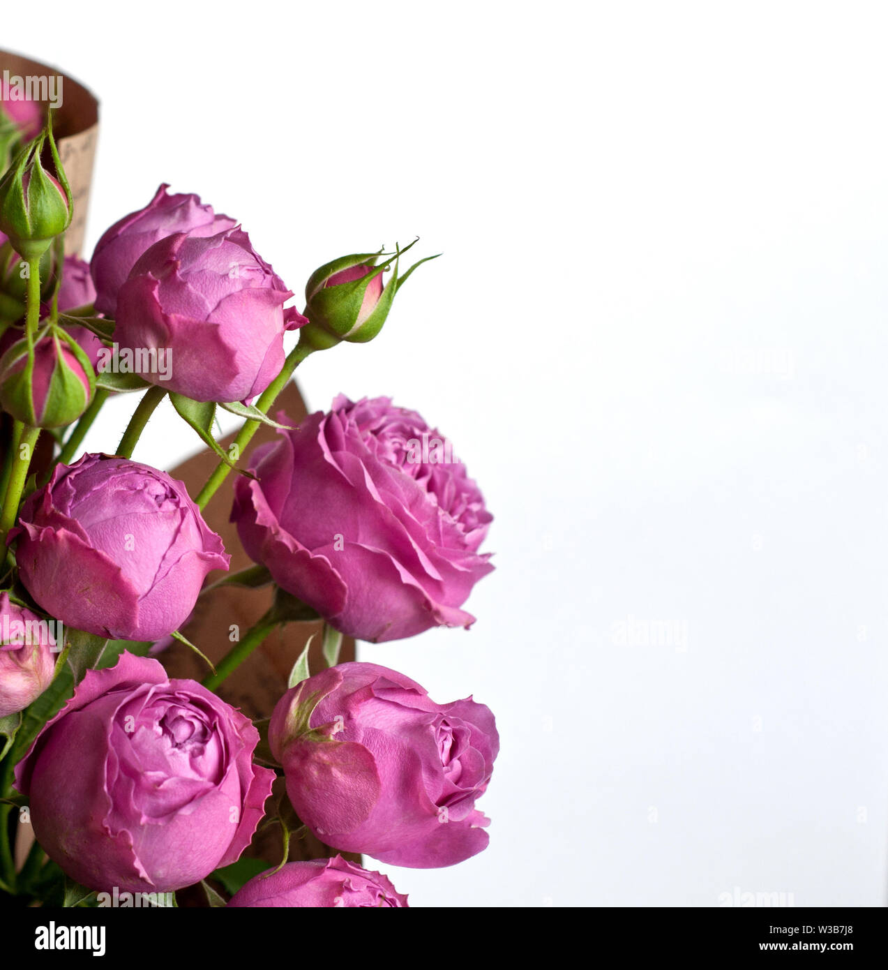 Pion hi-res stock photography and images - Alamy