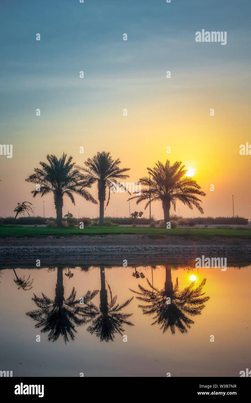 morning drama sunrise view in Modon lake Dammam Saudi Arabia Stock ...