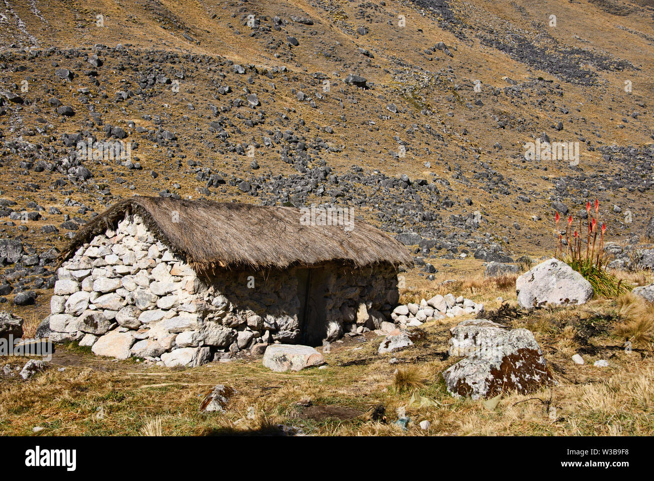 Traditional stone hut in the high Andes along the Cordillera Real ...