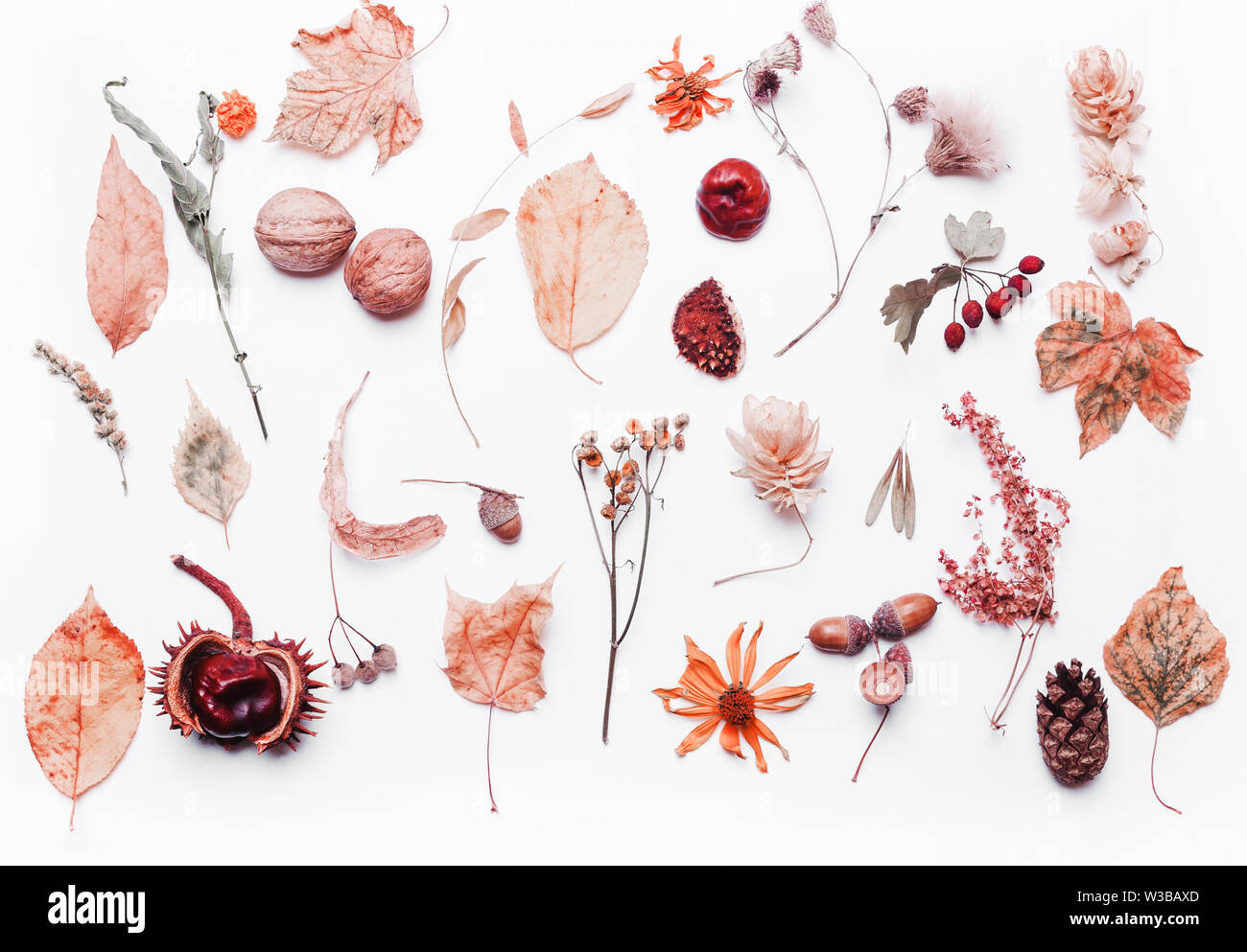 Beautiful autumn view from Cut Out Stock Images & Pictures - Alamy