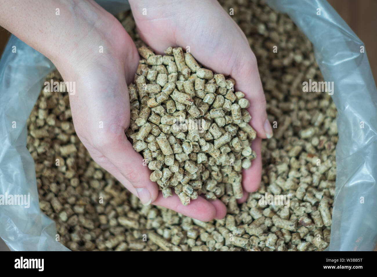 Heap of natural wood pellet for heating in women`s hands. Eco energy ...