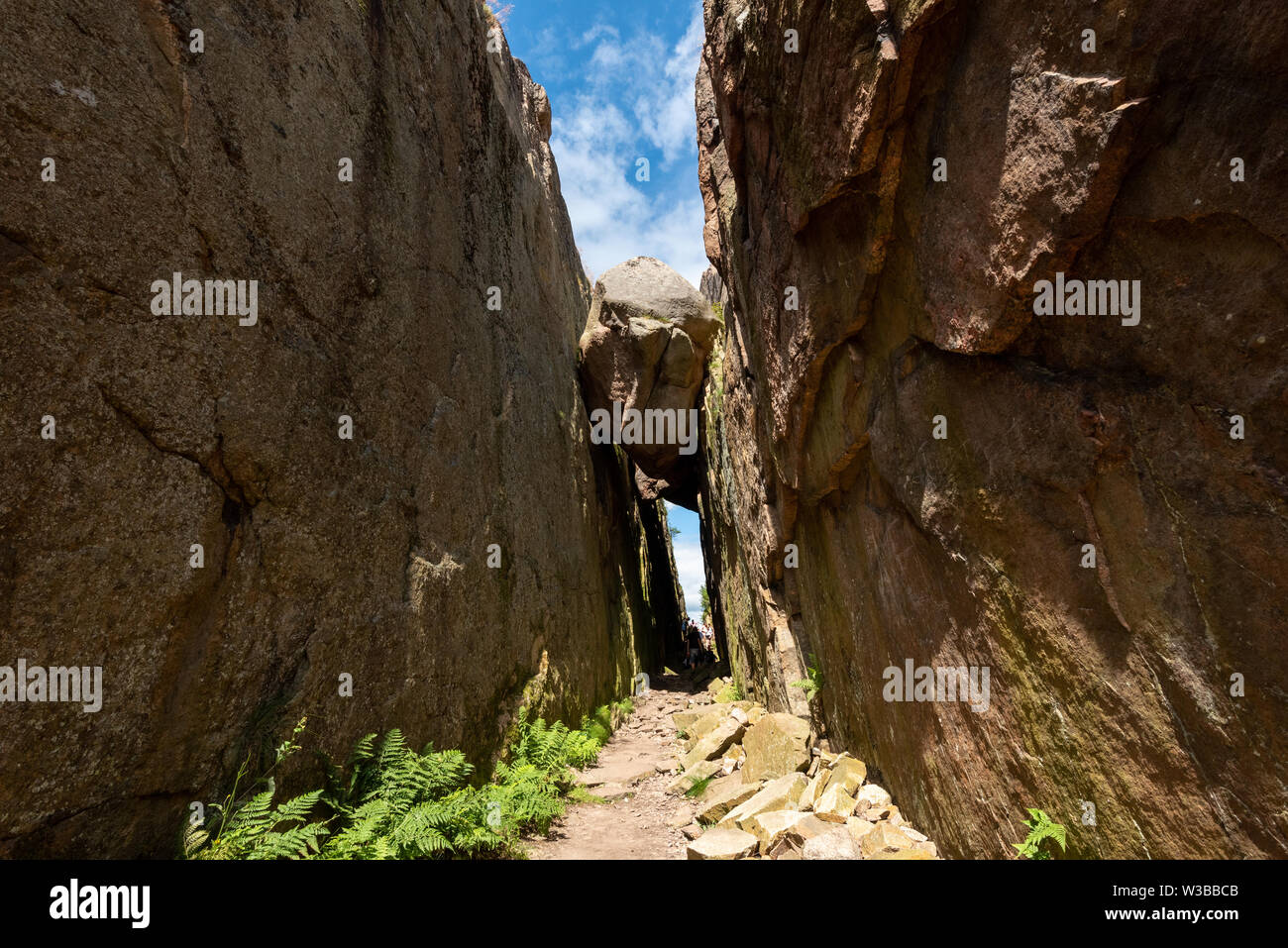 Ronja daughter of a robber hi-res stock photography and images - Alamy