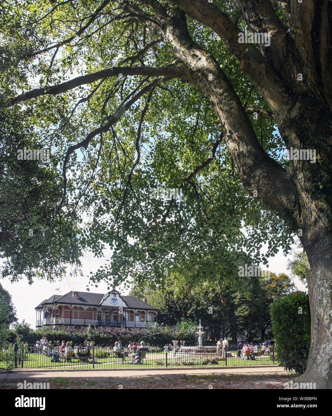 Rose Garden; Devonport Park; rest home; railings; tree; framed; relax ...