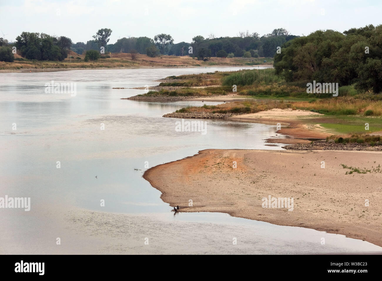 Barby, Germany. 14th July, 2019. The Elbe near Barby. By the low water ...