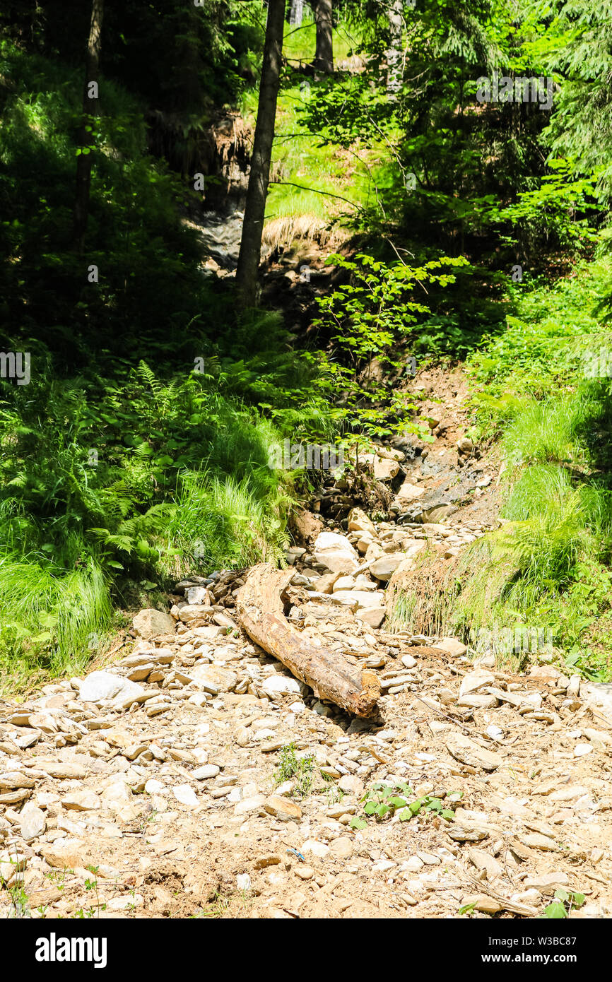 Landscape photo of Iezer Mountains in Romania Stock Photo - Alamy