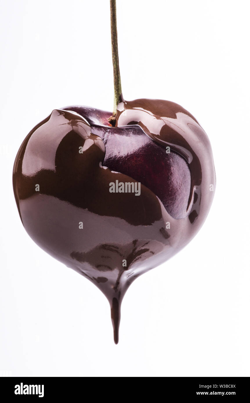 cherry covered with melted chocolate end isolated from the white ...