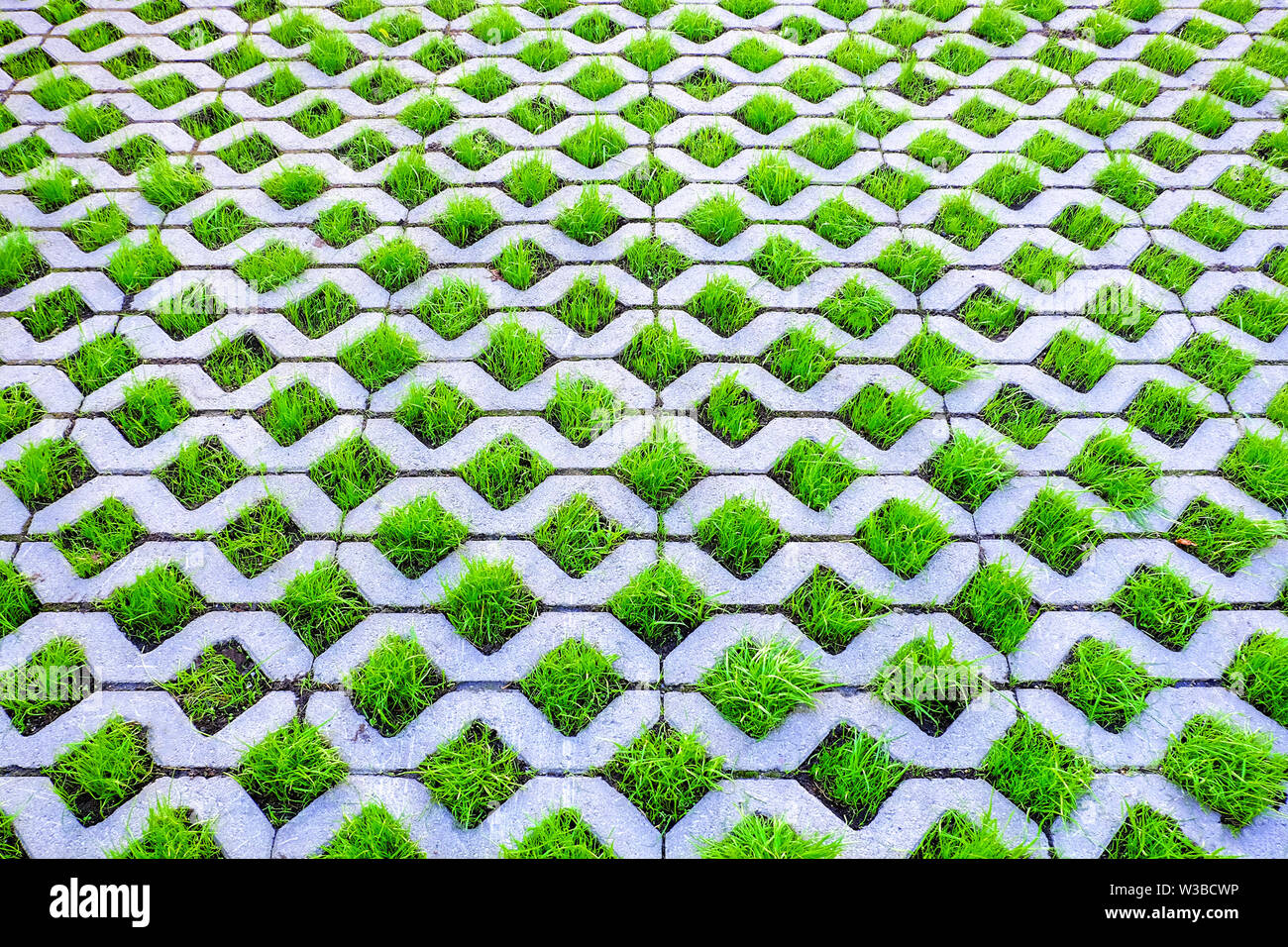 Green grass grows from decorative paving slabs Stock Photo - Alamy