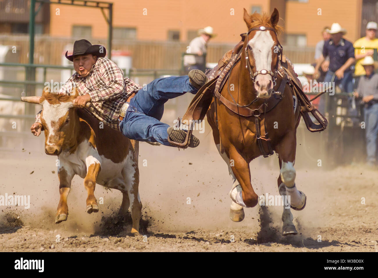 Western horse show hi-res stock photography and images - Alamy