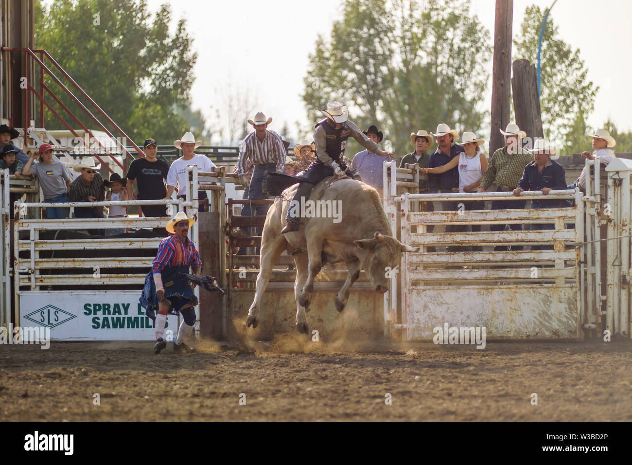 Stadium audience canada hi-res stock photography and images - Alamy