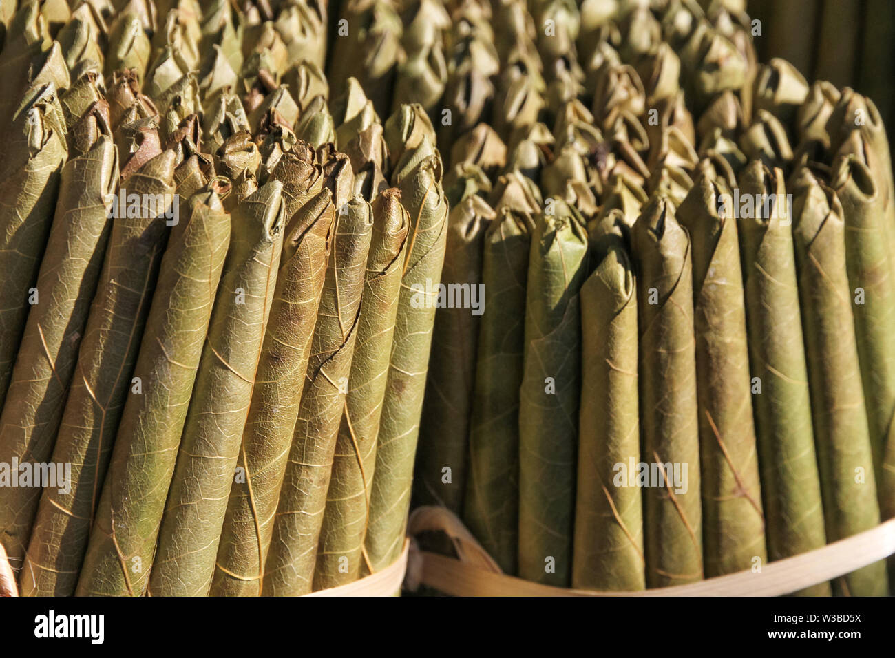 Cigar production hi-res stock photography and images - Alamy
