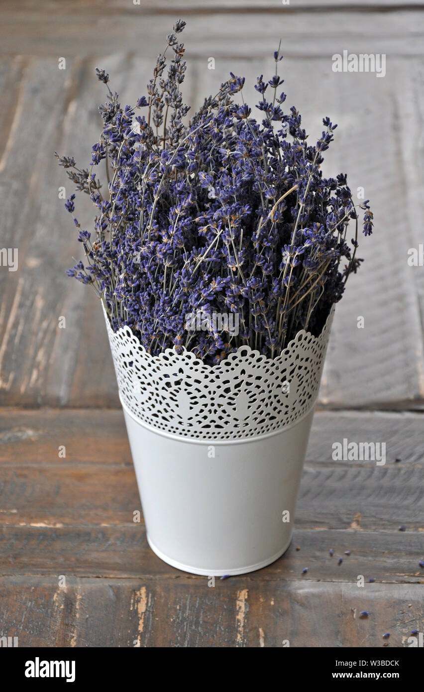Fragrant dried lavender in white vase Stock Photo - Alamy