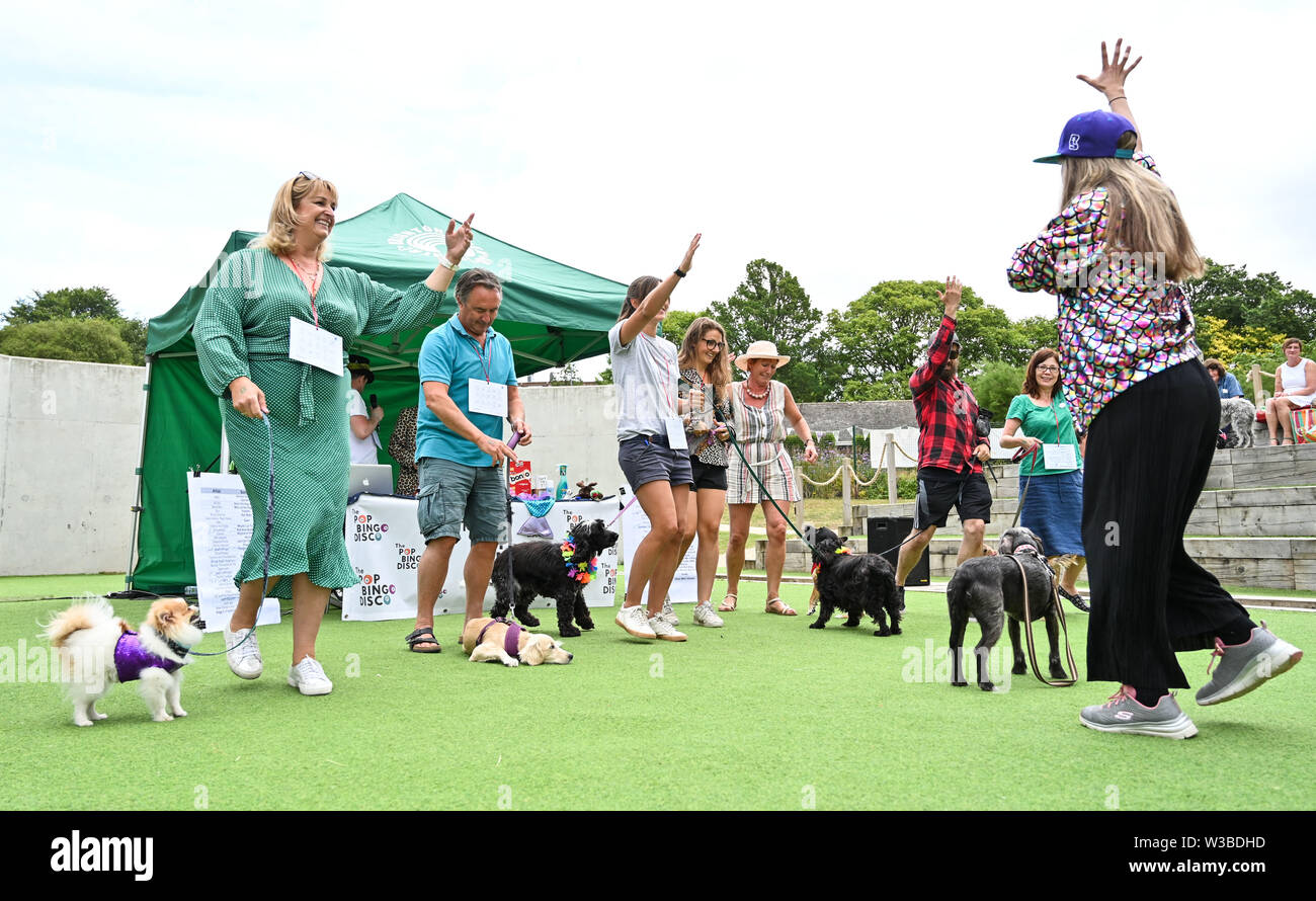 Dancing dogs hi-res stock photography and images - Alamy