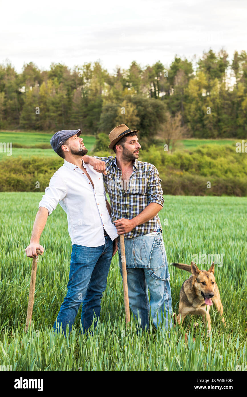 Two man in plaid shirt standing in oat field with forest in background ...