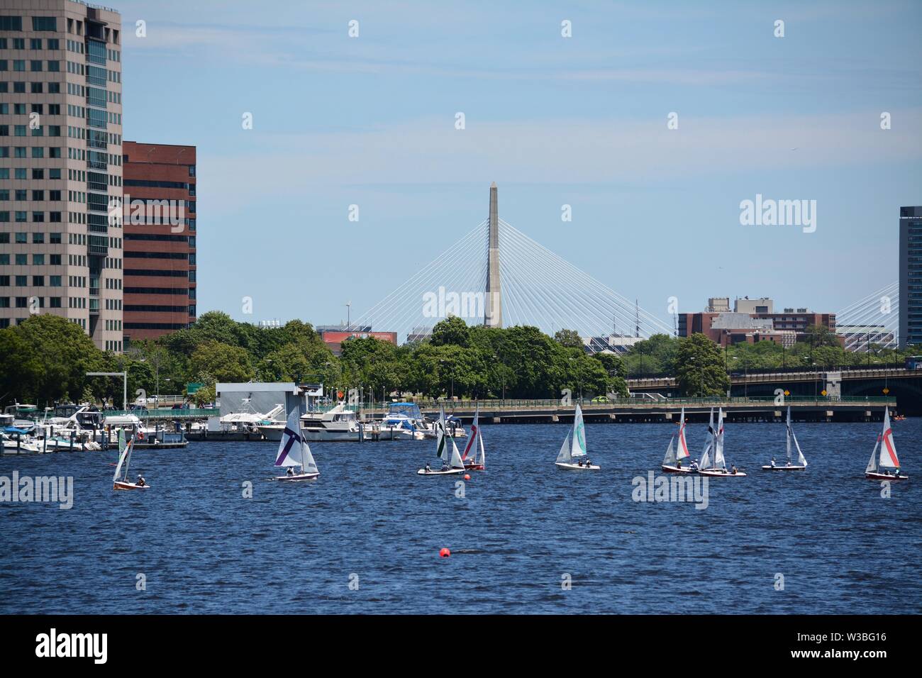 Sailboats sailing in the Charles River Basin with the Boston skyline ...
