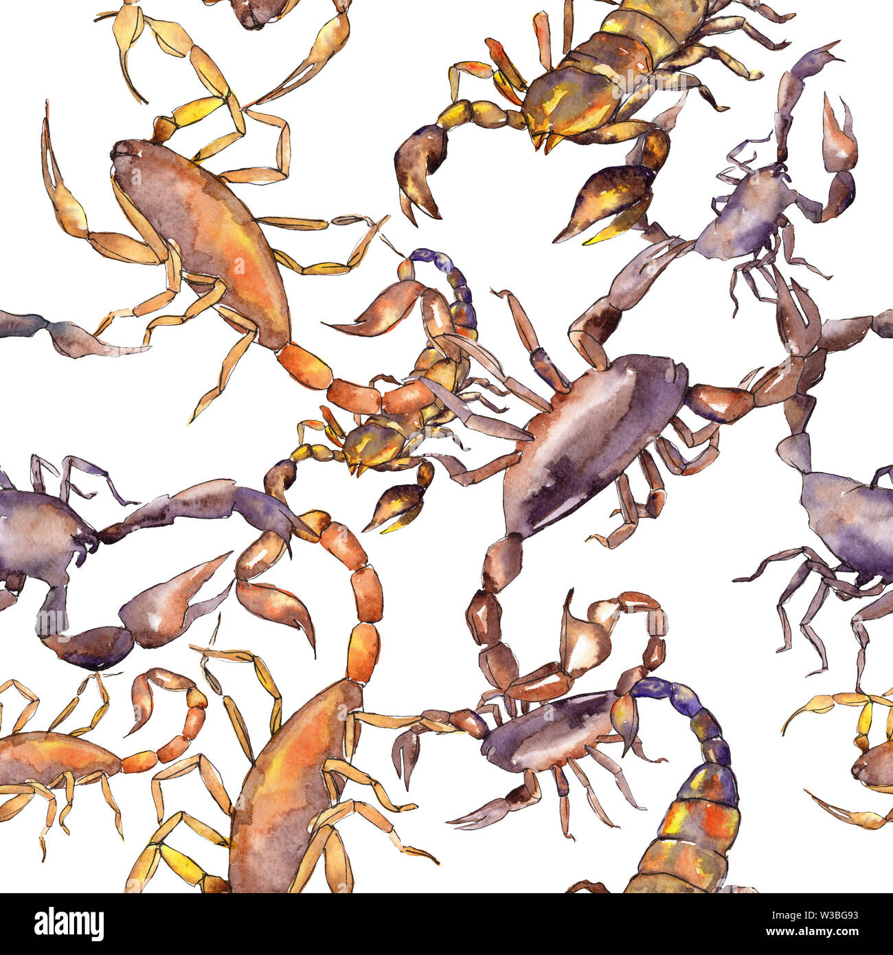 Exotic scorpion wild insect isolated. Watercolor background ...
