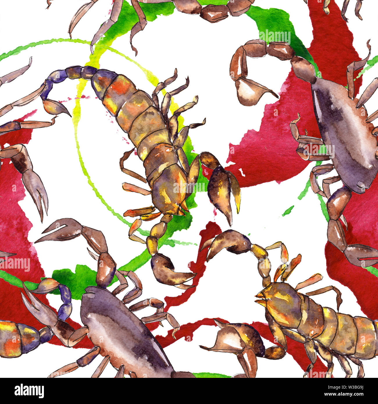 Exotic scorpion wild insect isolated. Watercolor background ...