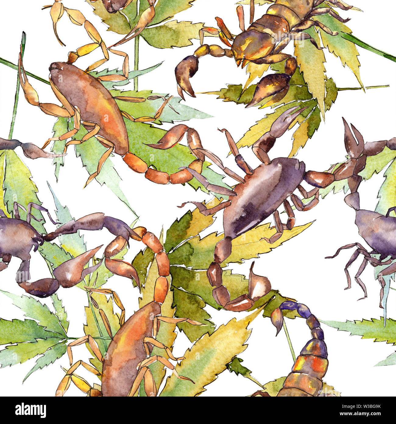 Exotic scorpion wild insect isolated. Watercolor background ...