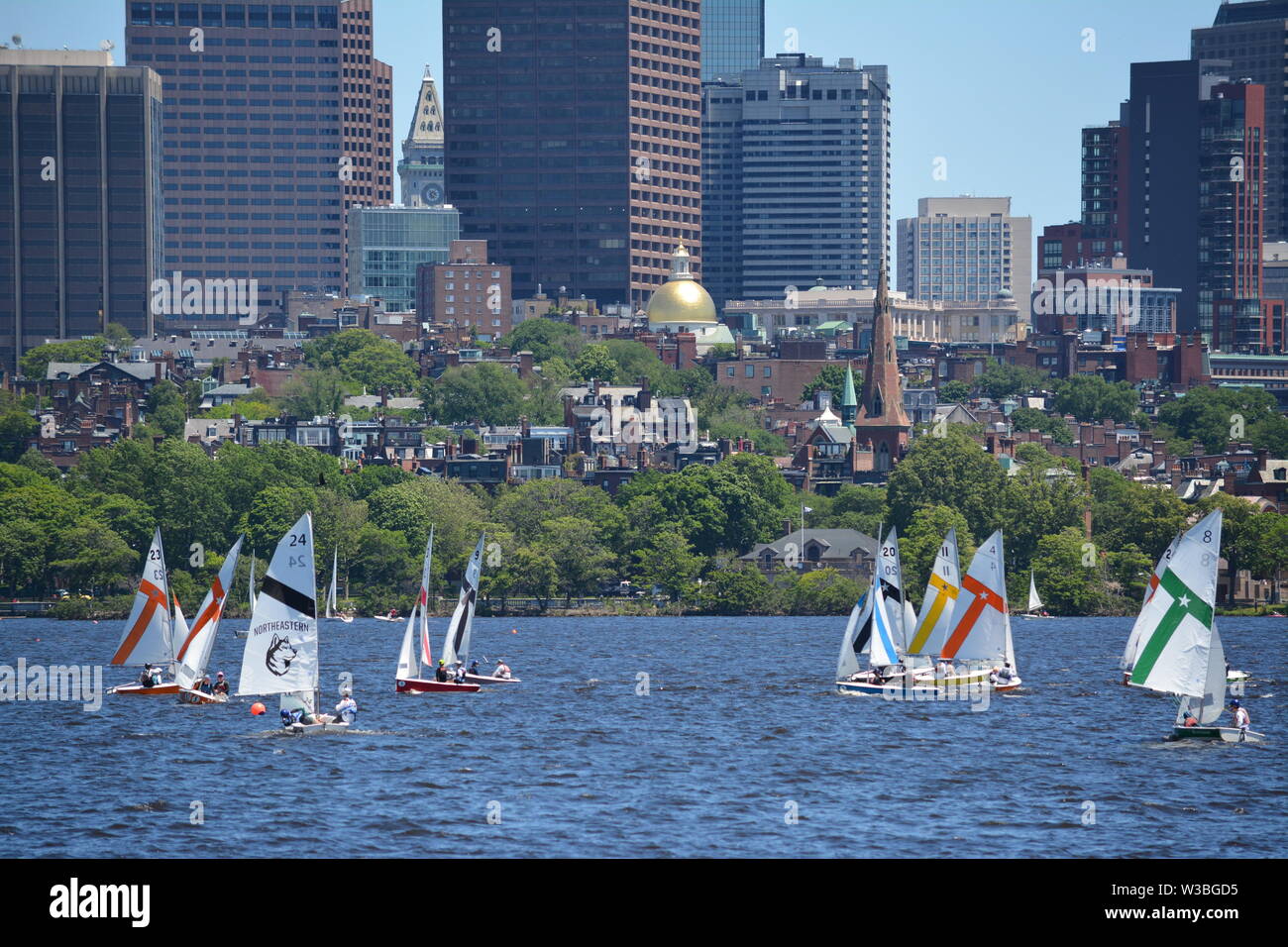 Sailboats sailing in the Charles River Basin with the Boston skyline ...
