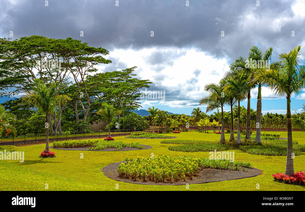 Dole plantation hi-res stock photography and images - Alamy