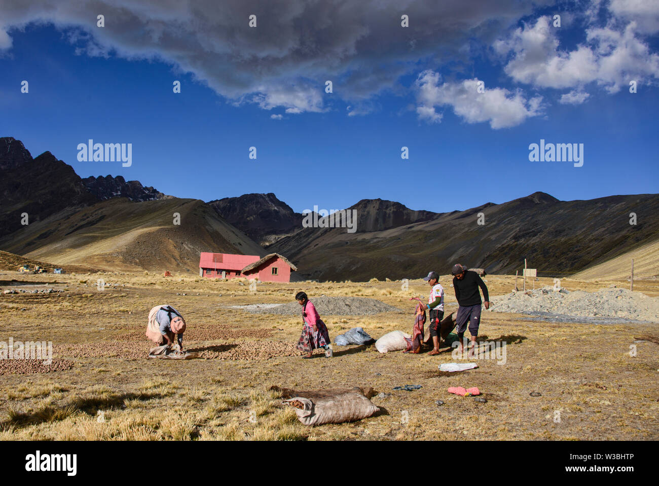 Andean potatoes hi-res stock photography and images - Alamy