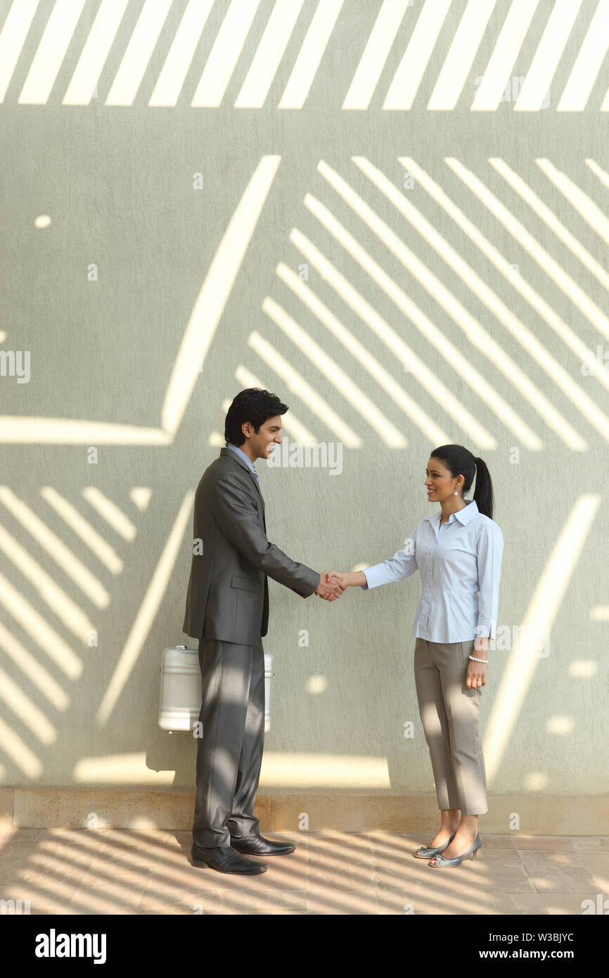 Two business executives shaking hands Stock Photo - Alamy