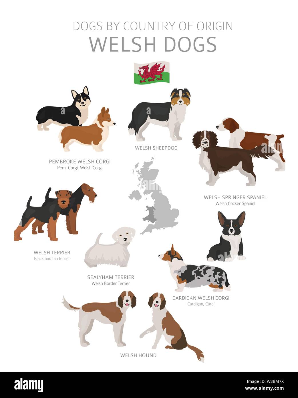 Dogs by country of origin. Welsh dog breeds. Shepherds, hunting ...
