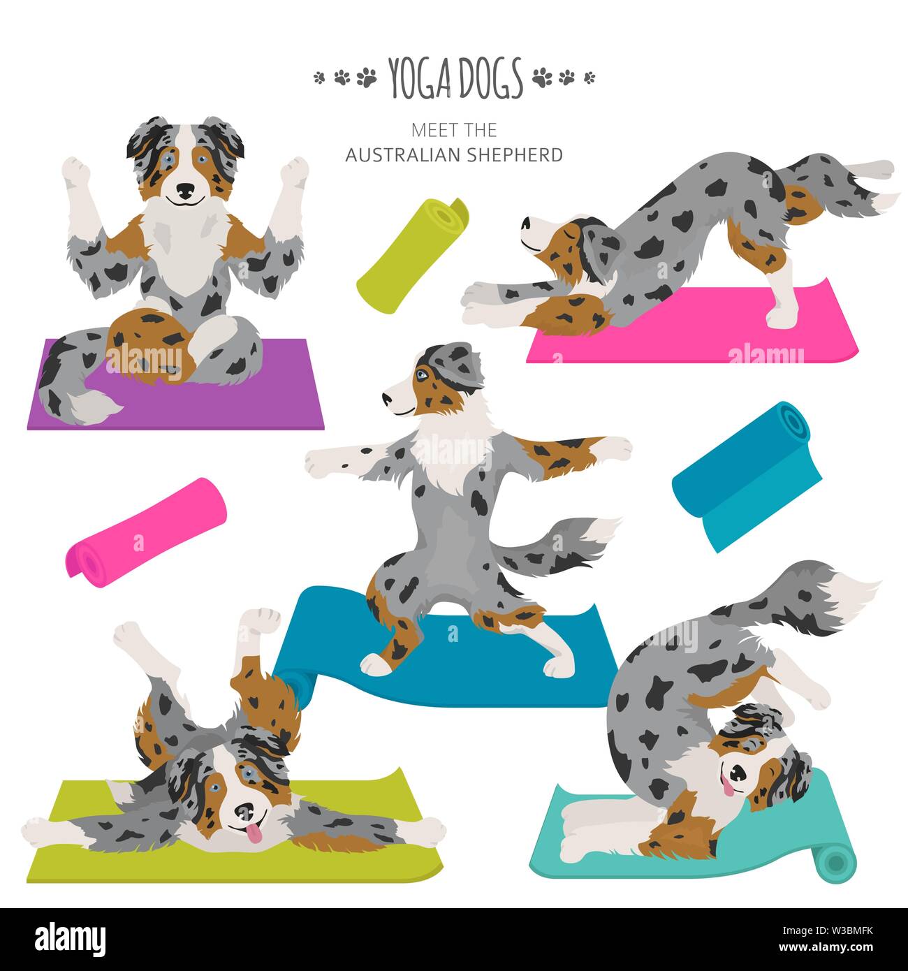 Yoga dogs poses and exercises. Australian shepherd clipart. Vector ...