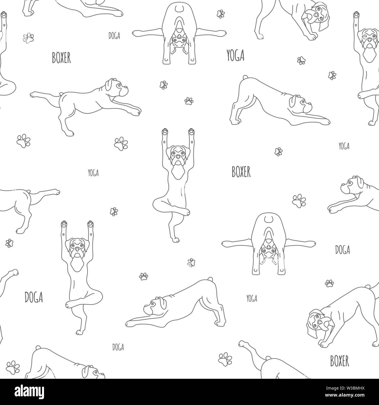 Yoga dogs poses and exercises. Boxer dog seamless pattern. Simple line ...