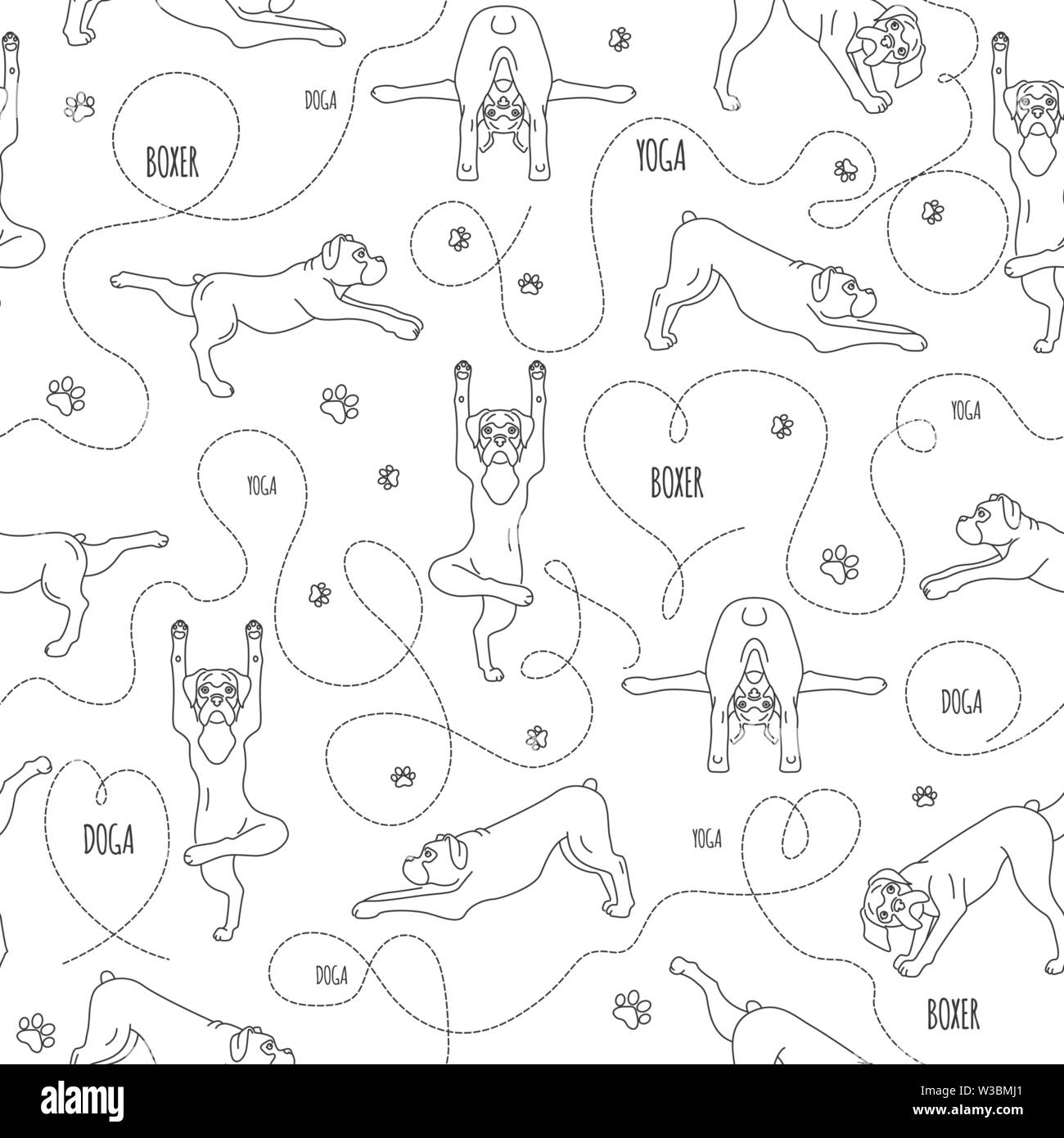 Yoga dogs poses and exercises. Boxer dog seamless pattern. Simple line ...