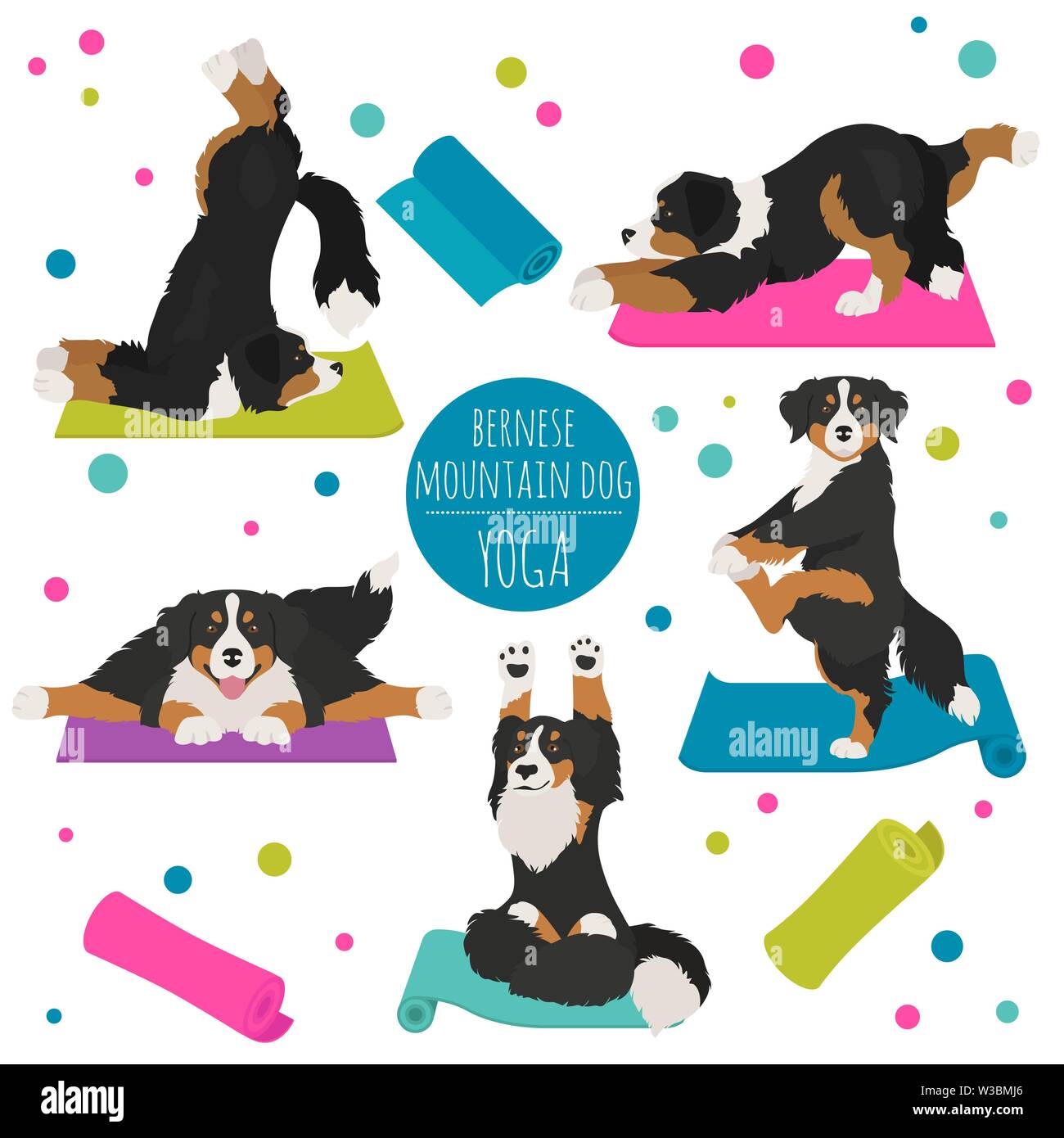 Yoga dogs poses and exercises. Bernese mountain dog clipart. Vector ...