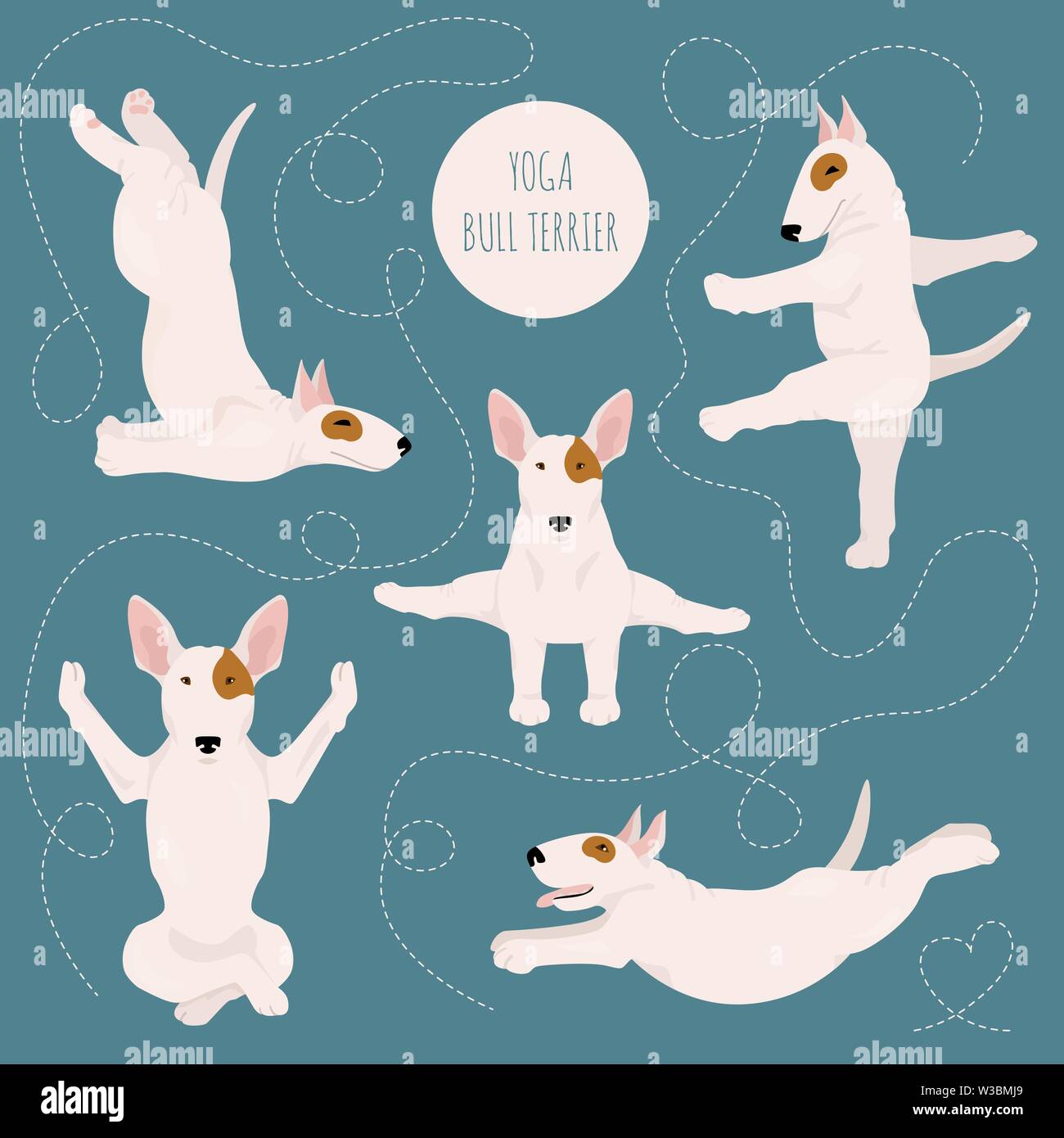 Yoga dogs poses and exercises. Bull terrier clipart. Vector ...