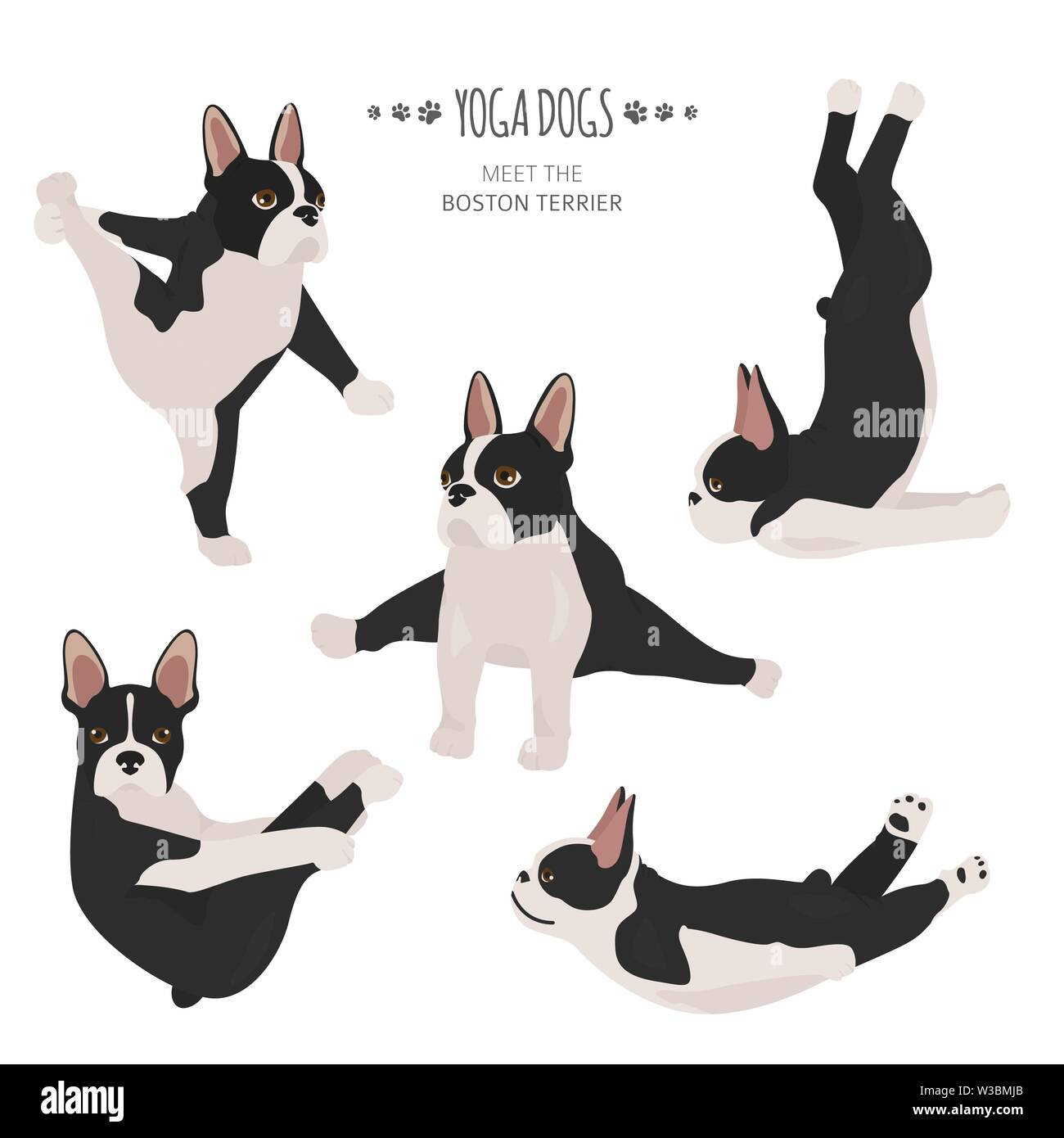 Boston Terrier Clip Art