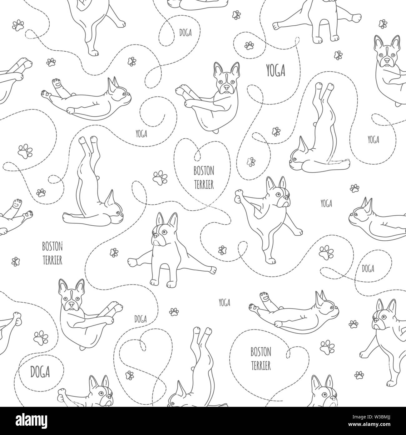 Yoga dogs poses and exercises. Boston terrier linear seamless pattern ...