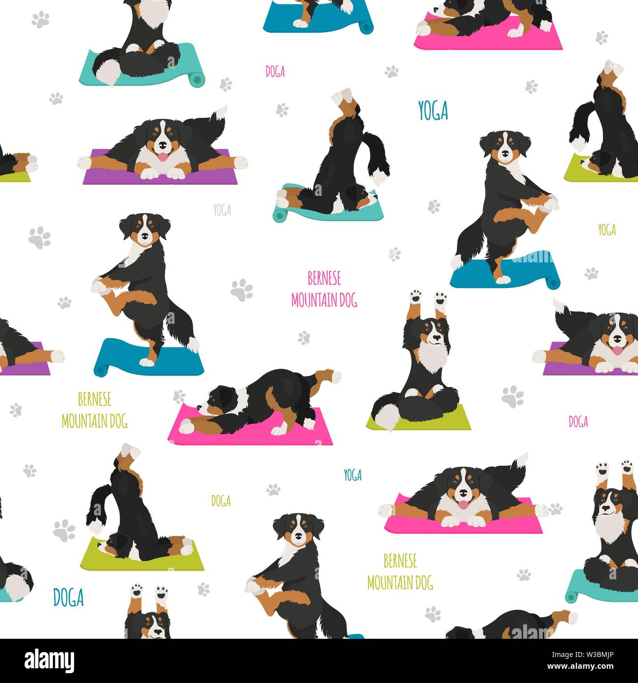 Yoga dogs poses and exercises. Bernese mountain dog seamless pattern ...