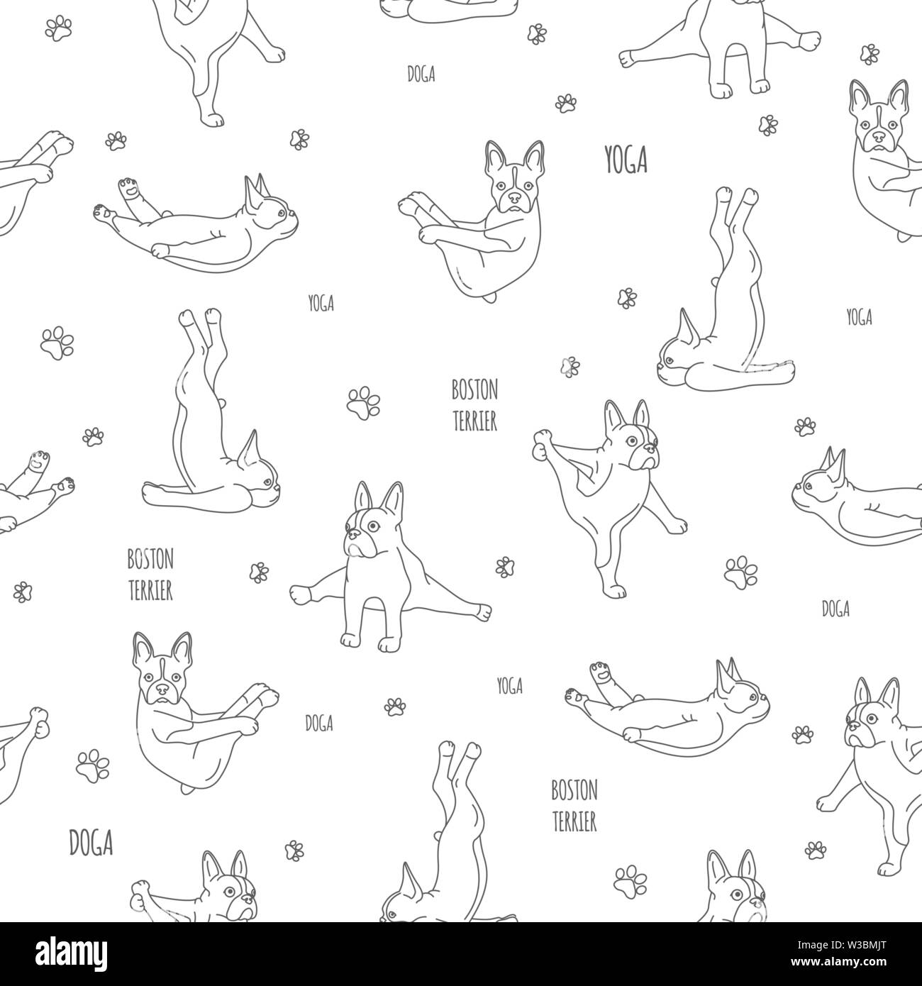 Yoga dogs poses and exercises. Boston terrier linear seamless pattern ...