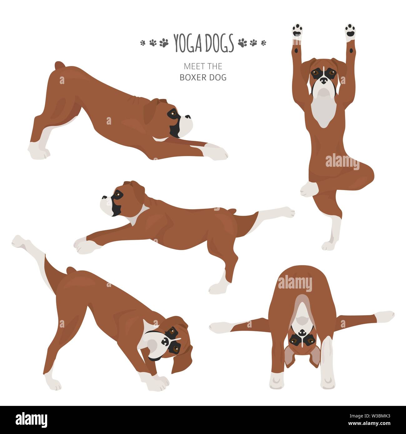 Downward Dog Pose Vector Vectors High Resolution Stock Photography and ...