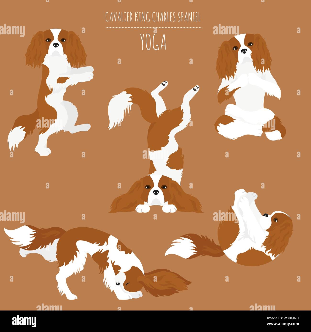 Yoga dogs poses and exercises. Cavalier King Charles spaniel clipart ...