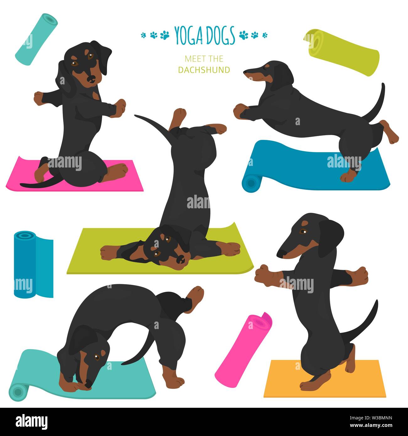 Yoga dogs poses and exercises. Dachshund clipart. Vector illustration ...