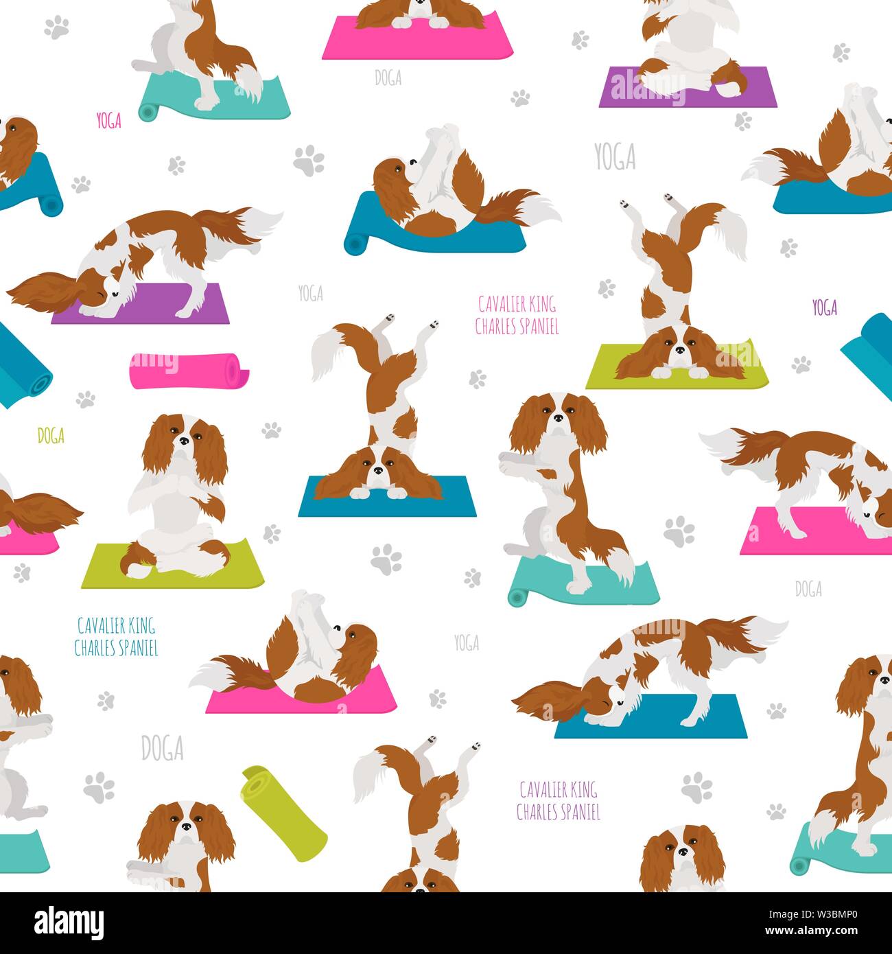 Yoga dogs poses and exercises. Cavalier King Charles spaniel seamless ...